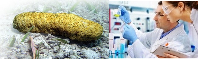 Cara Mengobati Gabagen Secara Tradisional - Tips Pengobatan Obat ...