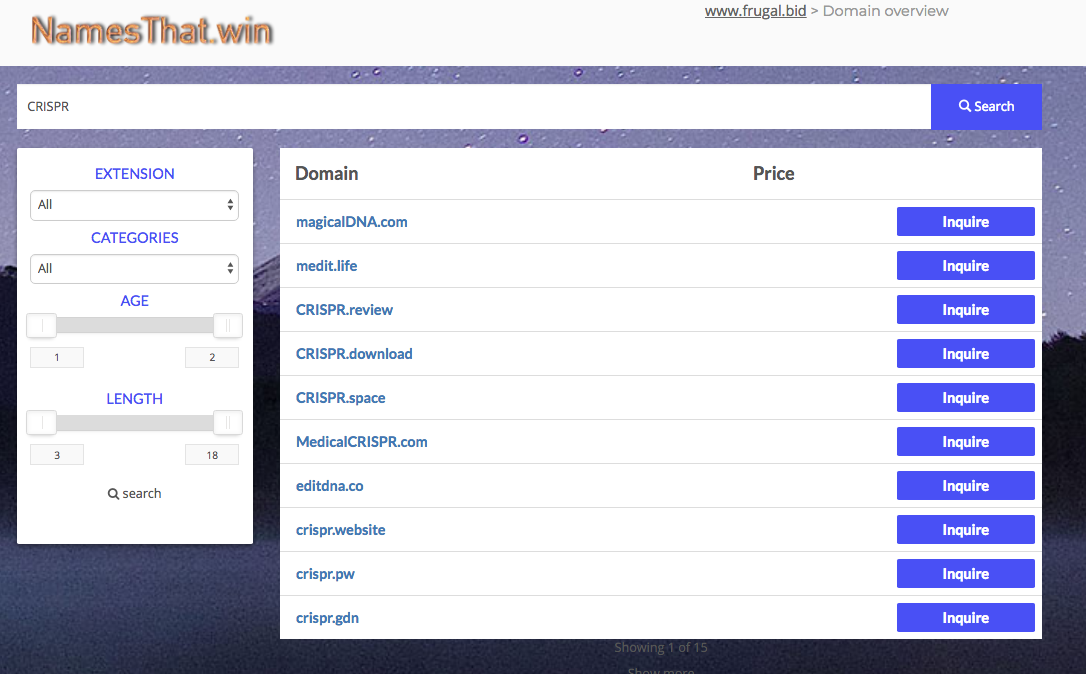 It's All In The Name: Domain Descriptions: Pro and Con