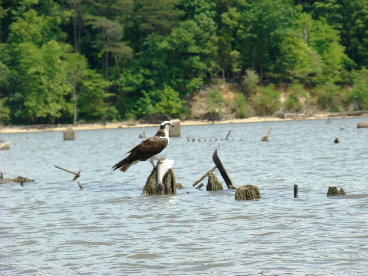 Cheese Plates and Room Service: Kayaking among the Ghost Ships of ...