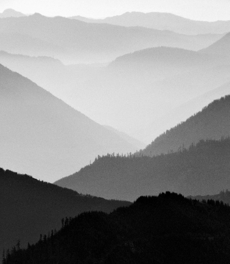 ART133: Visual Art Foundations: Chapter 8: Tonal Range