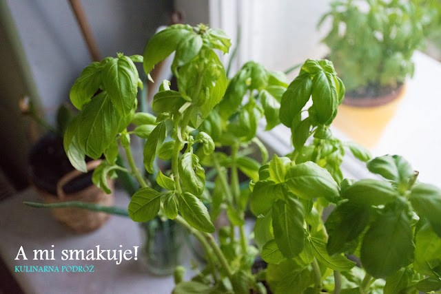 Bazylia - zioło o wielu zastosowaniach - A mi smakuje! | Przepisy ...