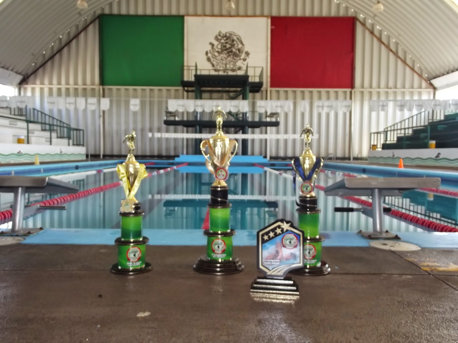 LOS MEJORES DEPORTES DEL IPN: NATACIÓN