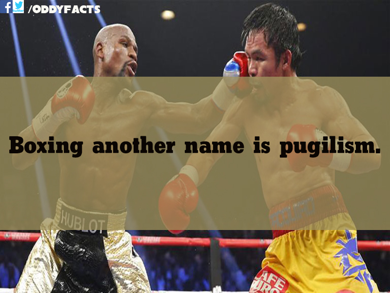 Oddy Facts: 11 boxing interesting facts