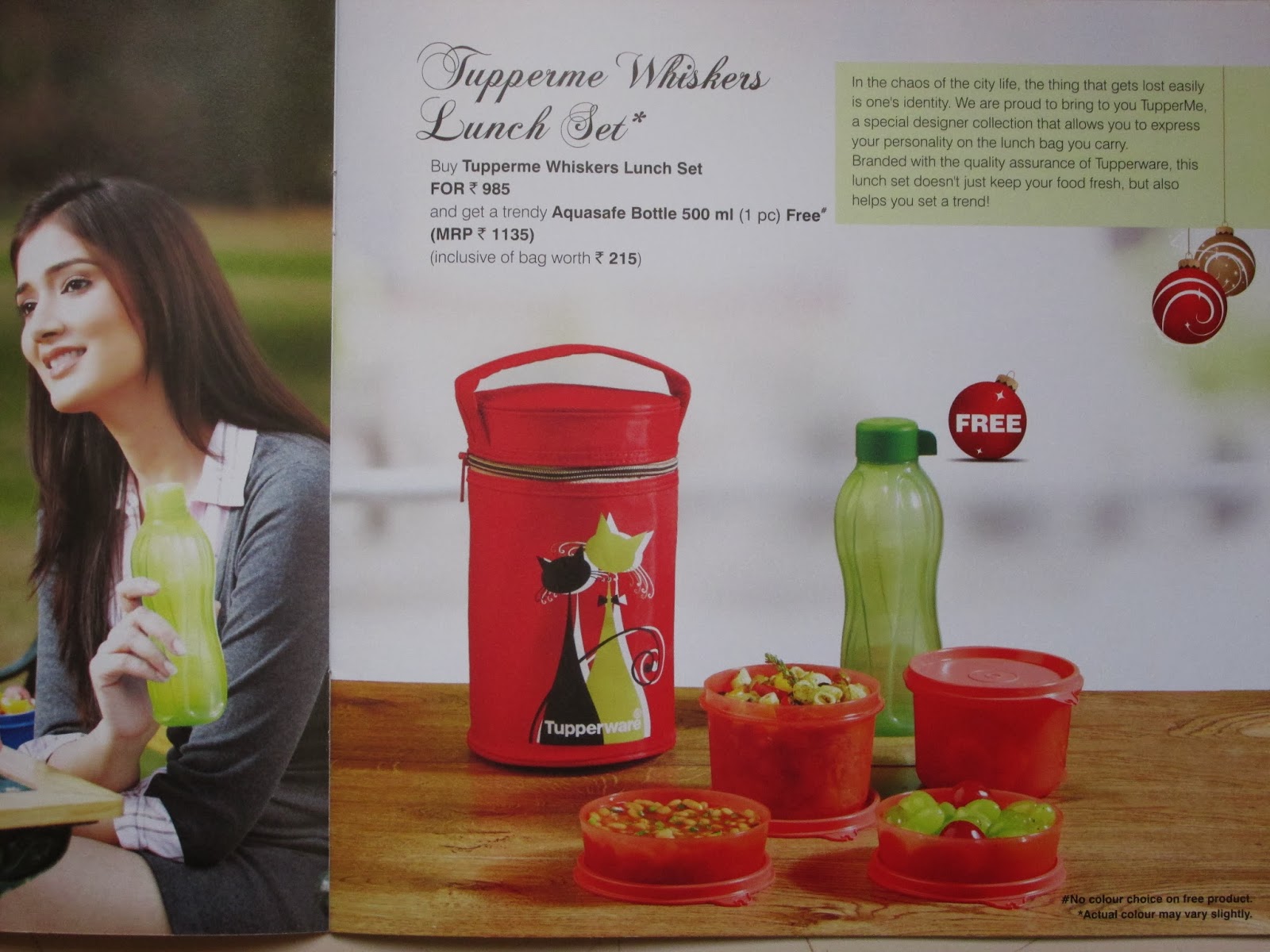 BUY TUPPERWARE PRODUCTS: TUPPERWARE MONTHLY FLYER DECEMBER 2013
