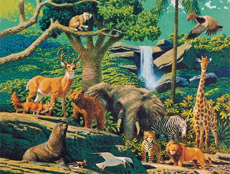 Mecham Family: LDS Nursery