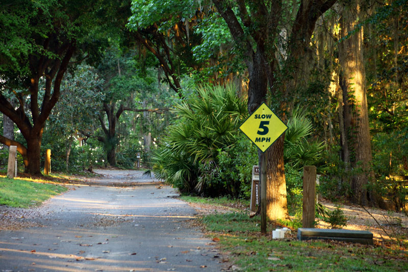 OFFWEGO!: Overnight at Leon County's (FL) Coe Landing Campground