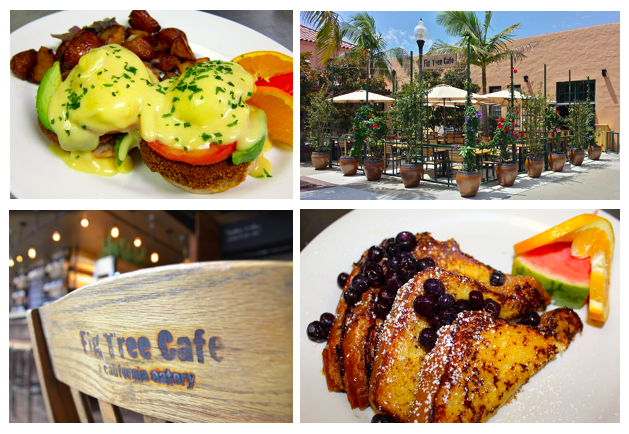 SanDiegoVille: Fig Tree Café | Liberty Station's Latest Incarnation of ...