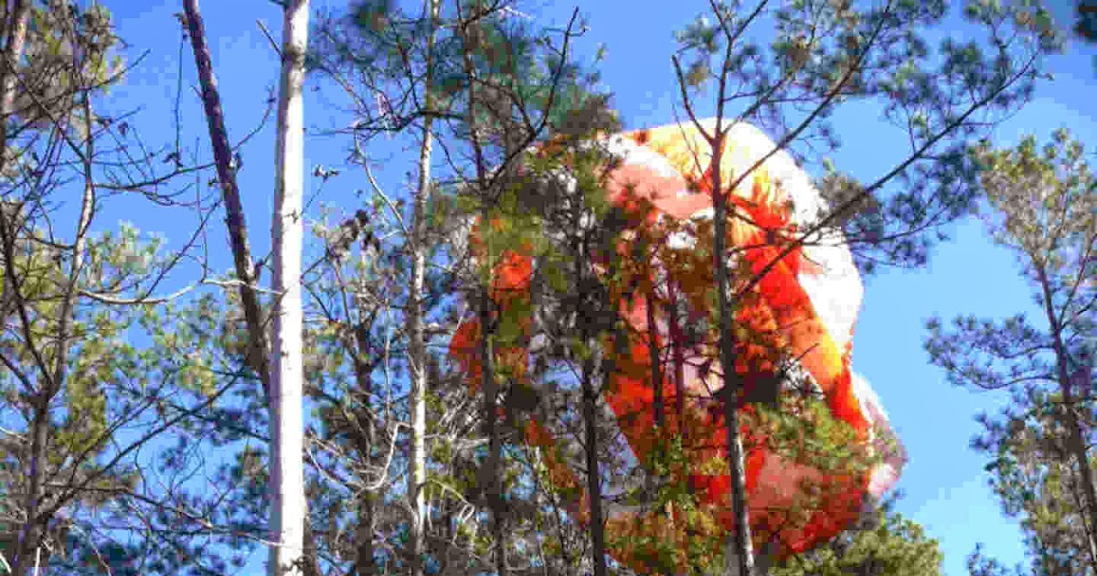 Kathryn's Report: The Wolk Law Firm (also known as “Arthur Alan Wolk ...