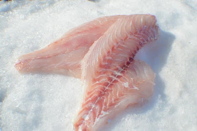 Frozen Red Snapper Fillets - Fresh Red Snapper, Buy Red Snapper, Red ...