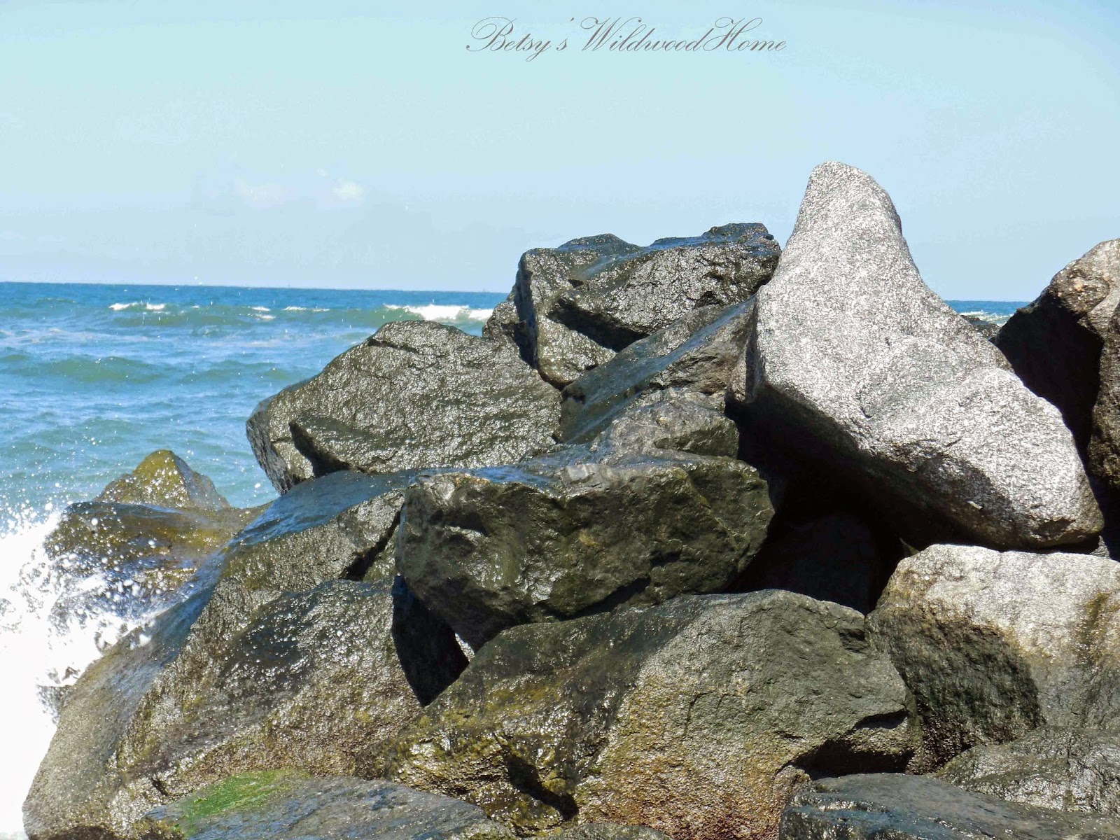 Betsy's Wildwood Home: Fort Story