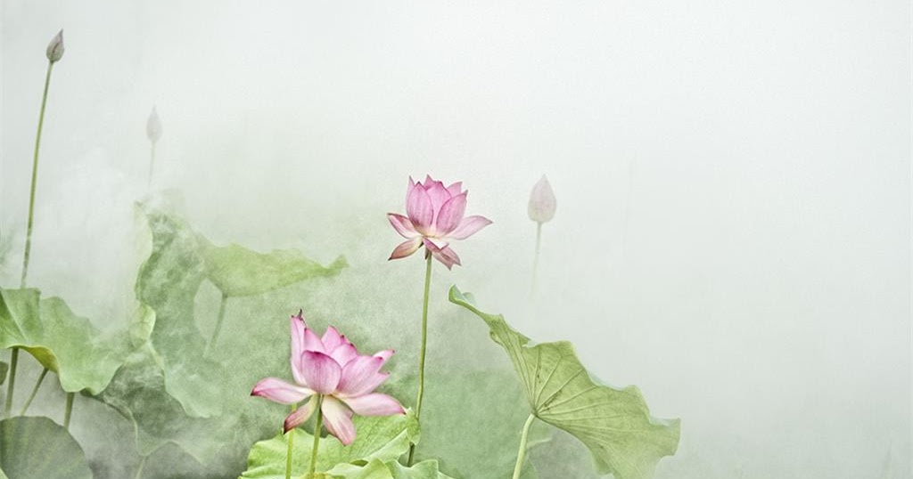 Lotus PPT template background