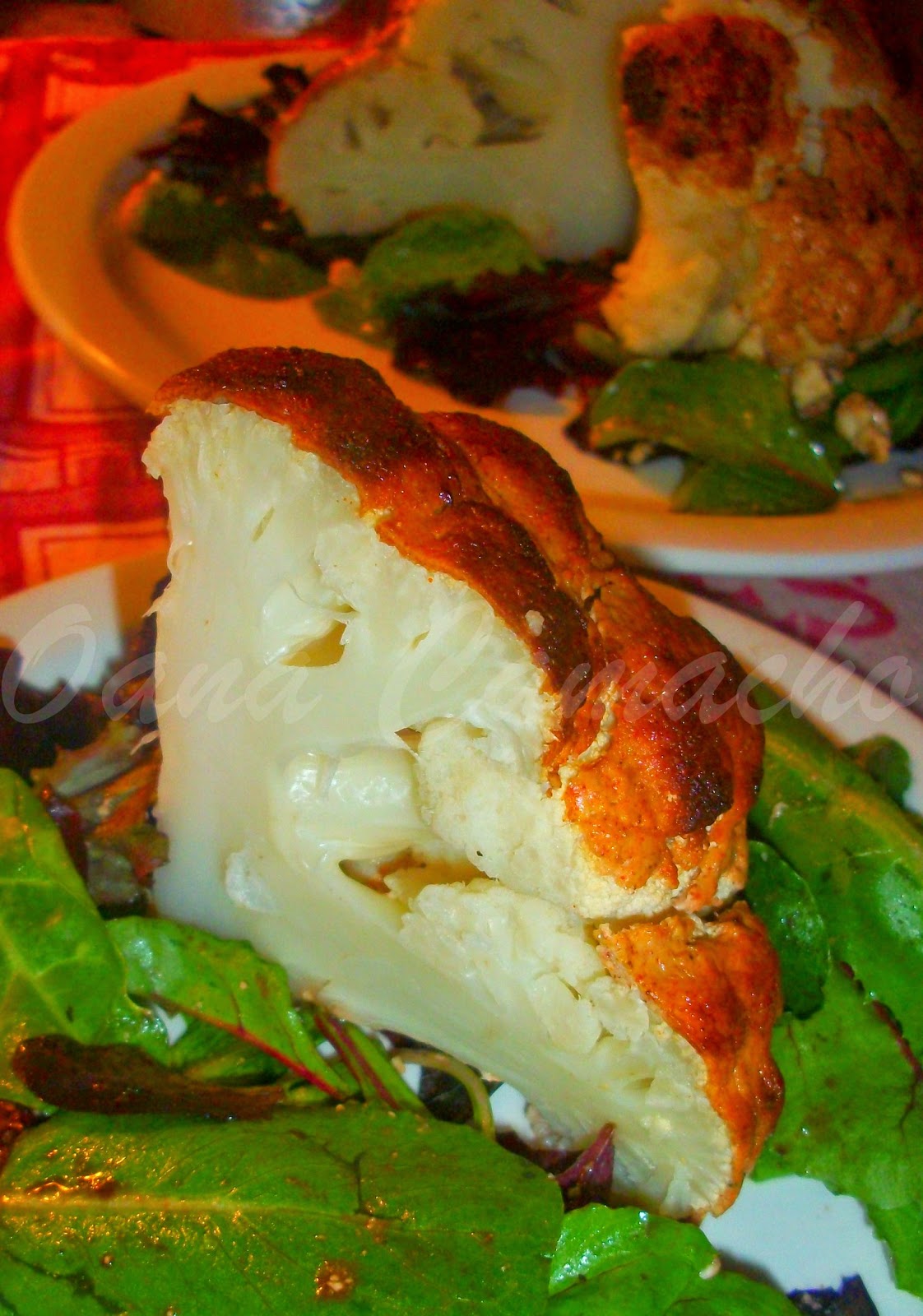 Cooking with love ! : CONOPIDA COAPTA IN CRUSTA DE IAURT ( WHOLE ...