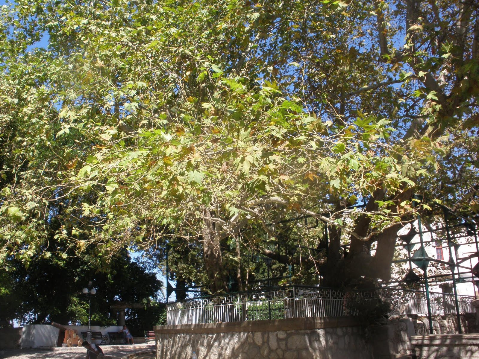 Ιδιωτική Οδός: ΣΗΜΕΡΙΝΕΣ ΕΙΚΟΝΕΣ ΑΠΟ ΤΗΝ ΚΩ