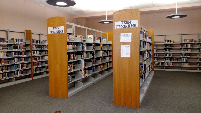 Walkabout With Wheels Blog: Exploring the Harlingen Public Library in ...