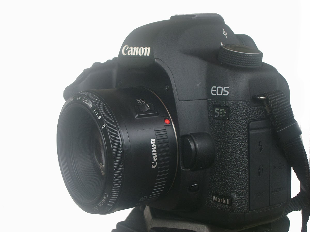 School Of Digital Photography: Reverse Lens Macro Photography Using ...