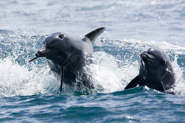 Posts from 2020 | The Ark In Space