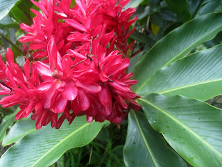 Are we there yet?: Pohnpei: It takes a Village