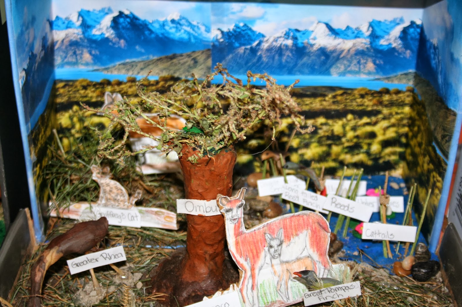 AcTal 7 Classroom Blog: Science Dioramas