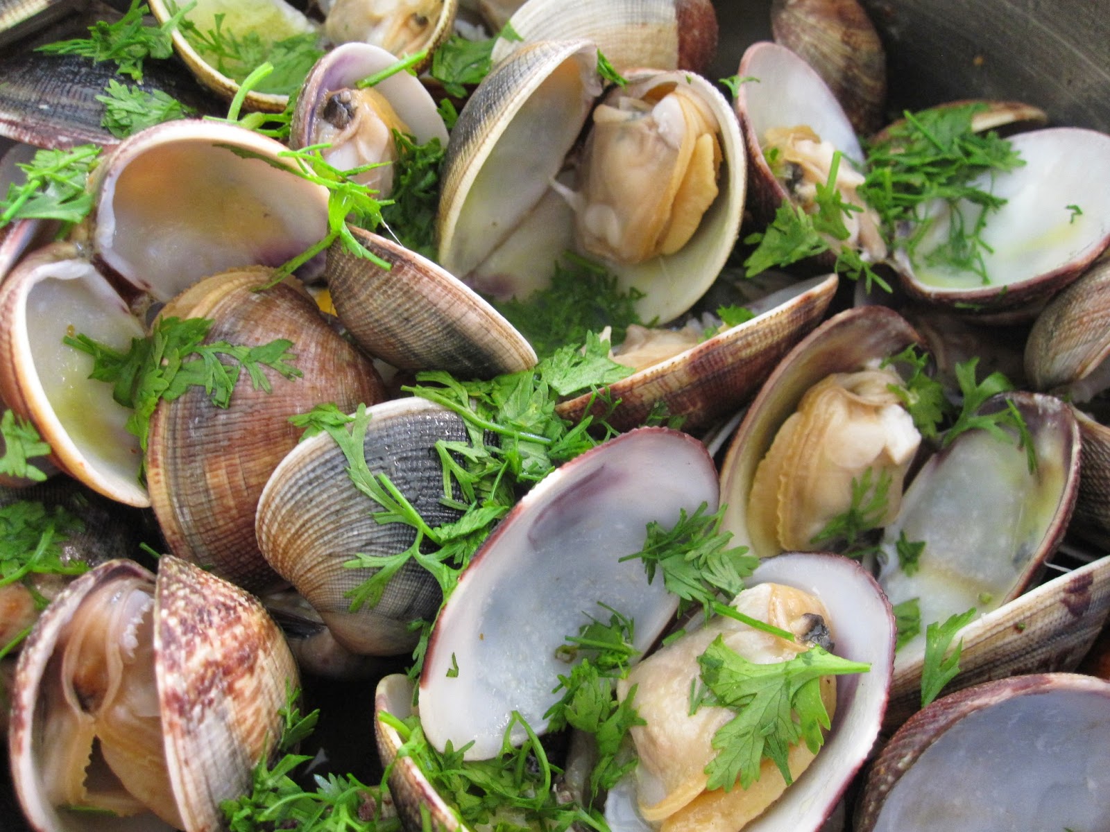 Ameijoa à Bulhão Pato