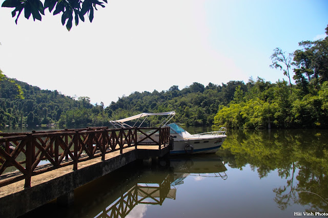 CẢNH ĐẸP CỦA NÚI RỪNG MADAGUI | Travel & Photography
