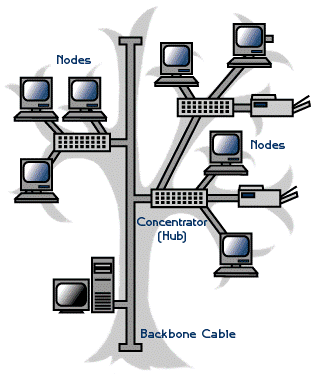 Network Topology categories, types, advantages and disadvantages ~ gwax ...