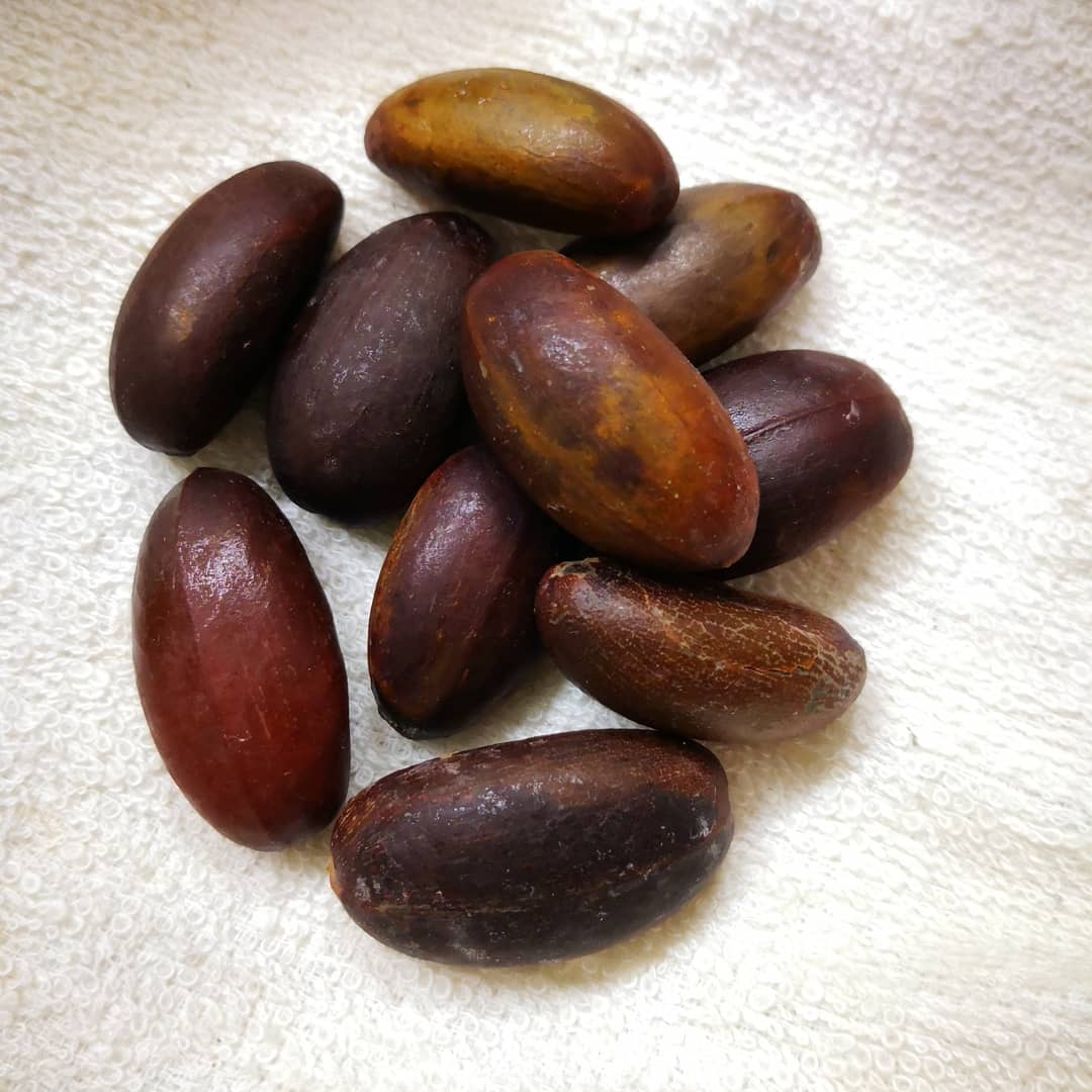 Buah Binjai , Buah Tampoi Dan Buah Perah - TERATAK MUTIARA KASIH