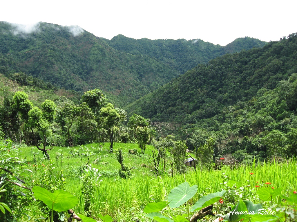 Calm-Sojourner: Let's count numbers in Mizo tawng (Language) (English ...