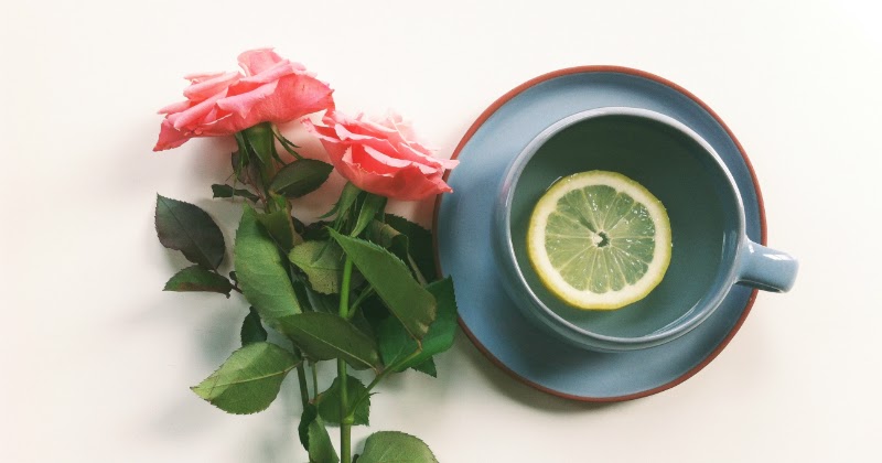 GIVE ME LEMONS AND ROSES | WILD & GRIZZLY