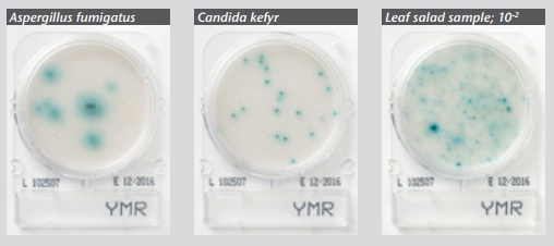 LAB ONLINE: ตลับตรวจเชื้อแบคทีเรีย (Compact Dry)