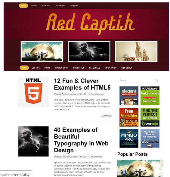Red Captik - MS Web Tutoriais