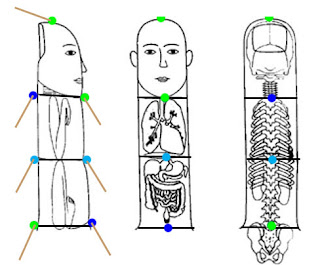 Su-jok acupuncture methods and treatment (Su-jok medicine blog): 2011