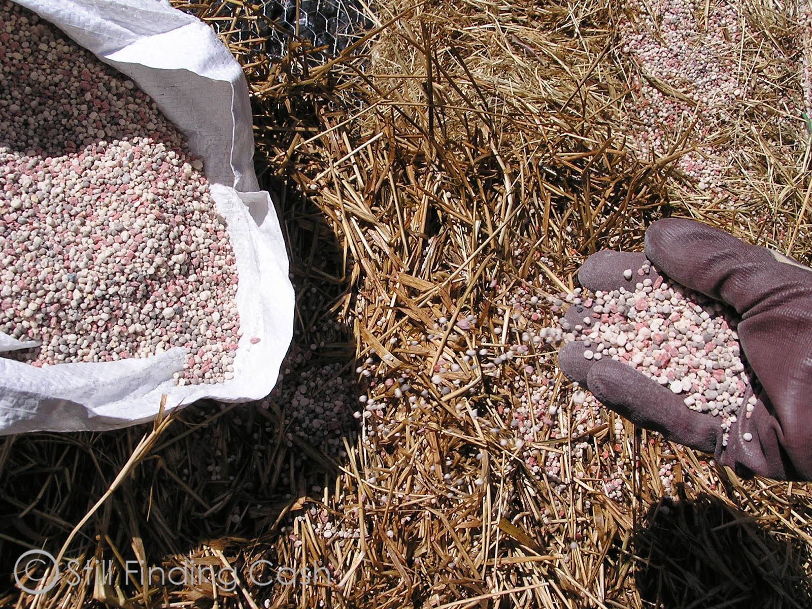 Still Finding Cash: HAY BALE GARDEN - Photo How-To