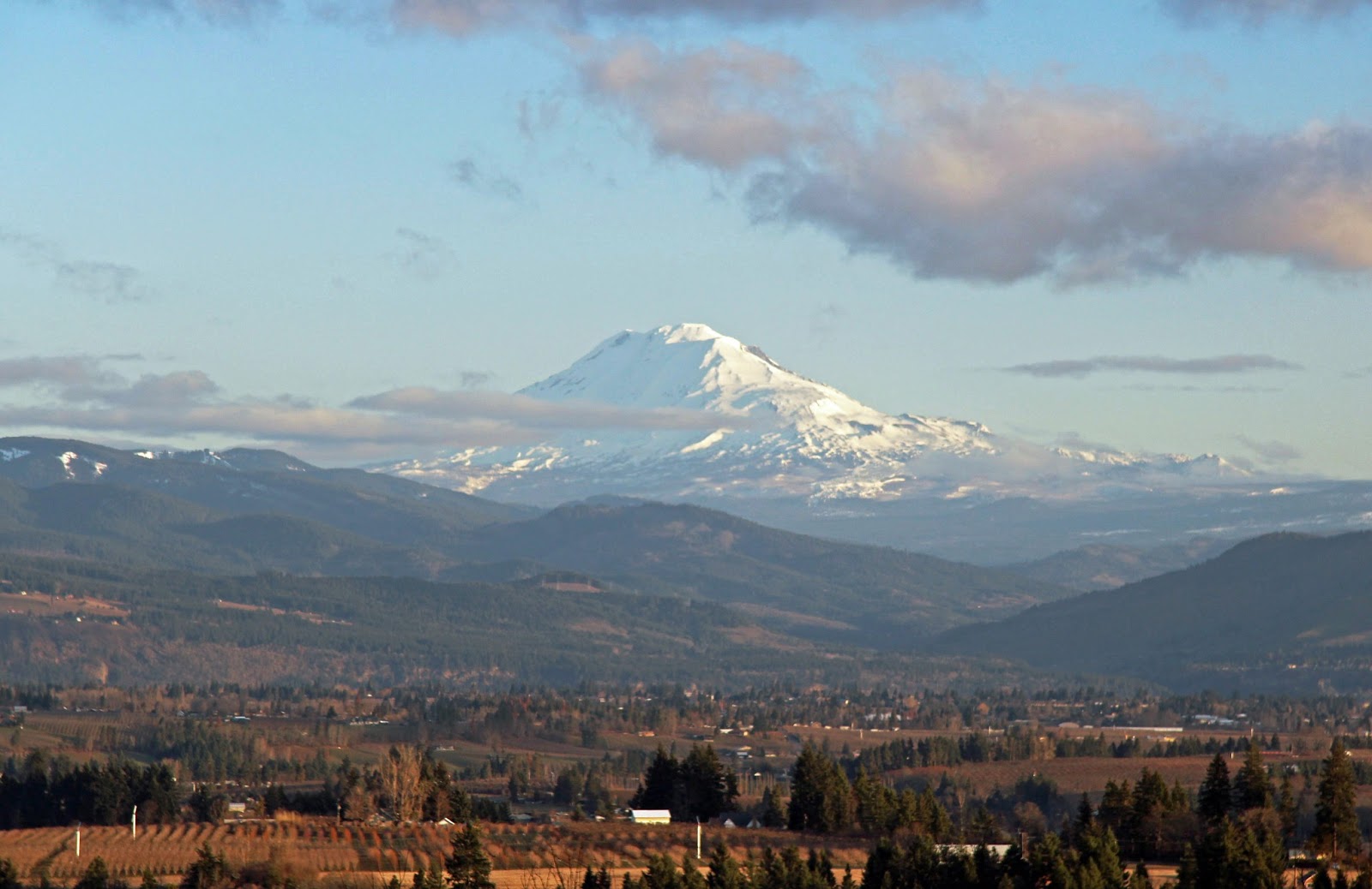 In the Fields : A Crisp Morning View