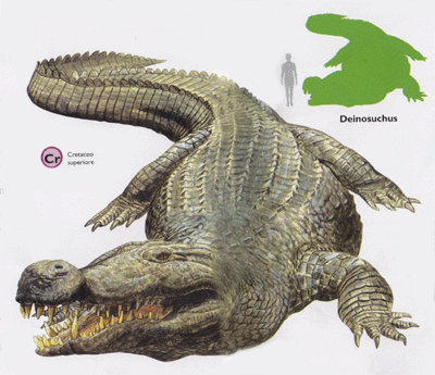 Reptossaurus: DEINOSUCHUS