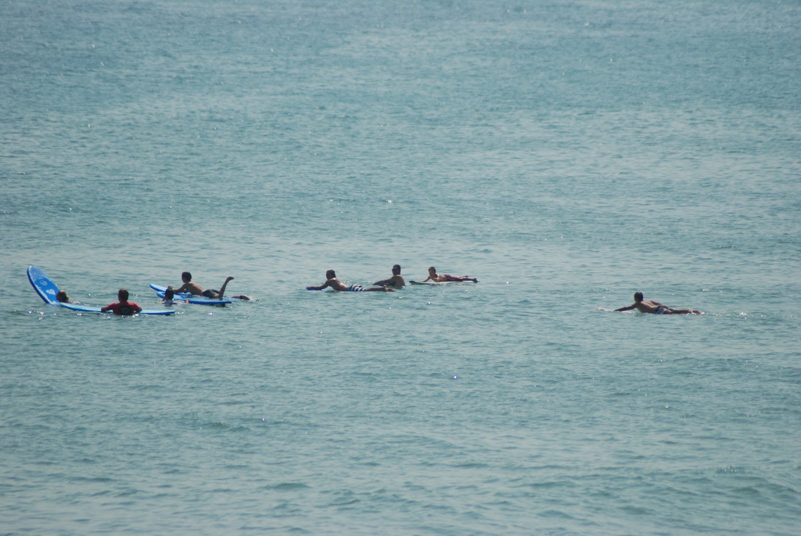 Kitchens Are Monkey Business: Rosie Checks Out The East Coast Surfing ...