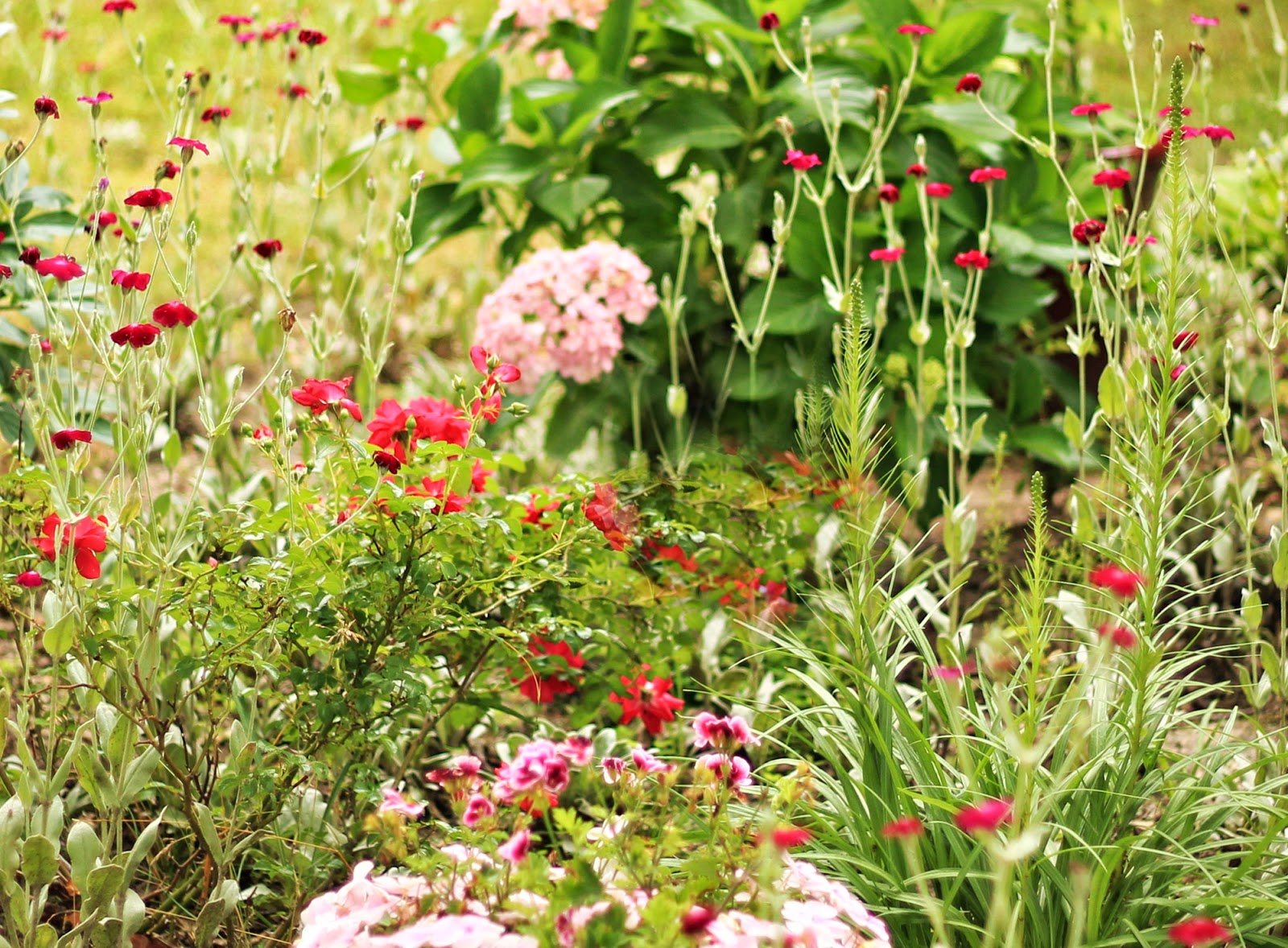 Shabby Sweet Cottage: In The Garden