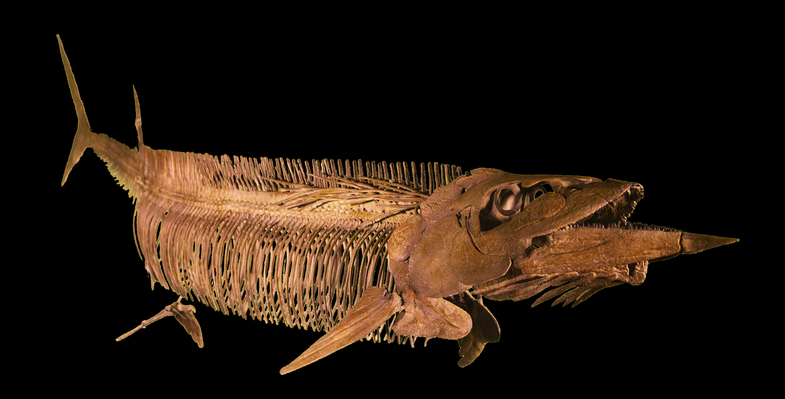 The Expeditioner's Discovery Guild: A little bit of Everything: Museums ...