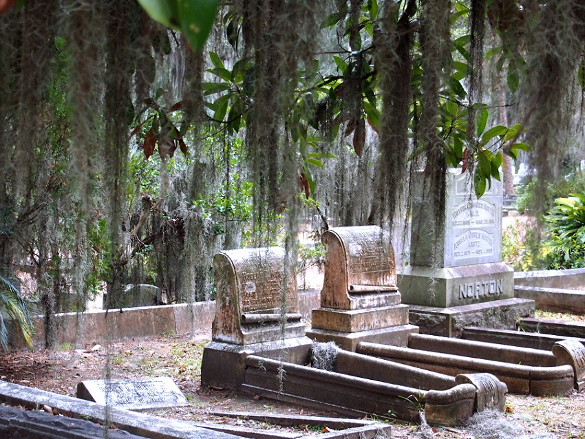 OTIS (Odd Things I've Seen): Southern Graveyard Charm: Bonaventure Cemetery