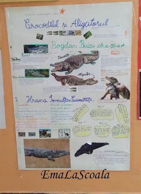 Proiect la stiintele naturii - animale