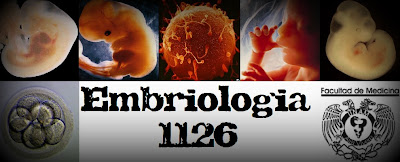 EMBRIOLOGÍA