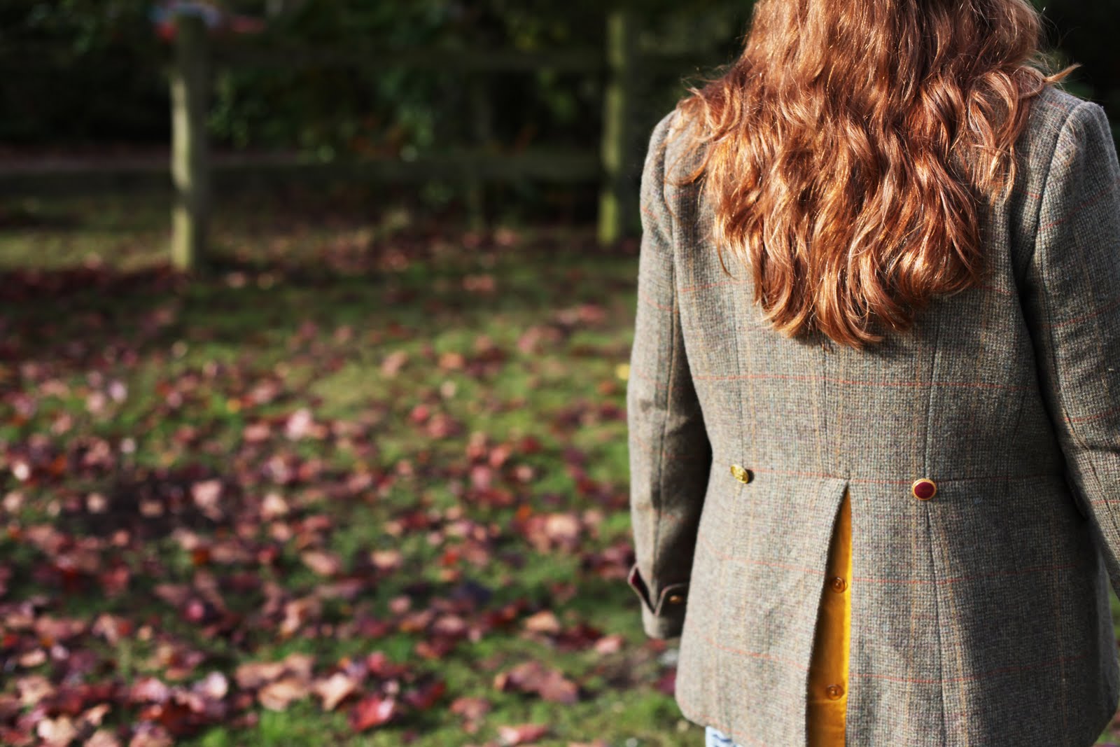 Autumn leaves and mummy bumps - Helen Strong Photography