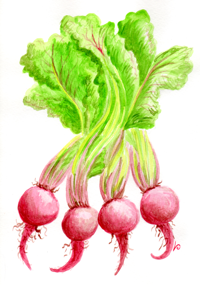 Vanessa Prentice's Art Blog