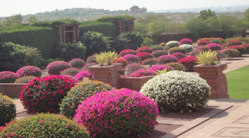 India Tours: India Travel -Rajasthan Tourism Place,Umed Garden