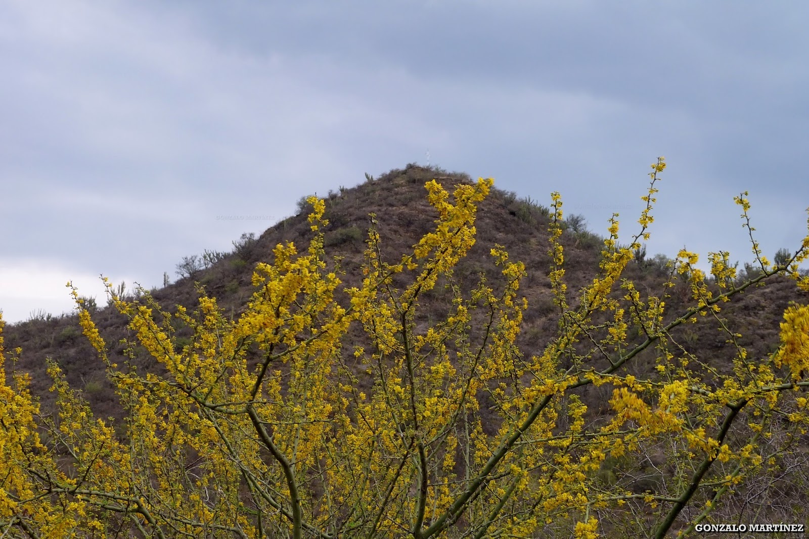 Paisajes y Naturaleza de Catamarca: Reserva de Biósfera Merced de ...