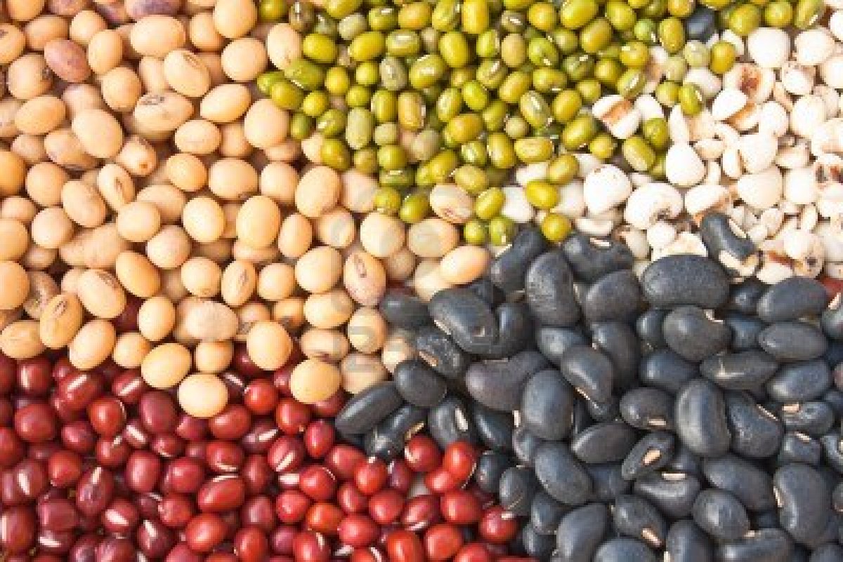 Legumes Vegetables - Natural Beauty