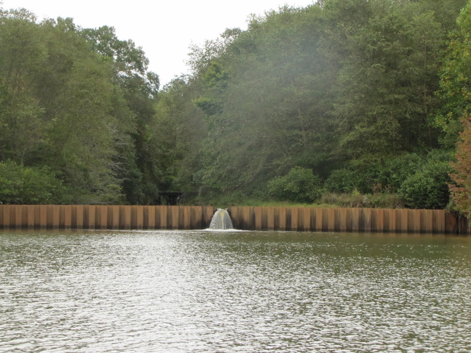 Pink 'N Blue View : Tennessee Tombigbee Waterway & Black Warrior Tombigbee