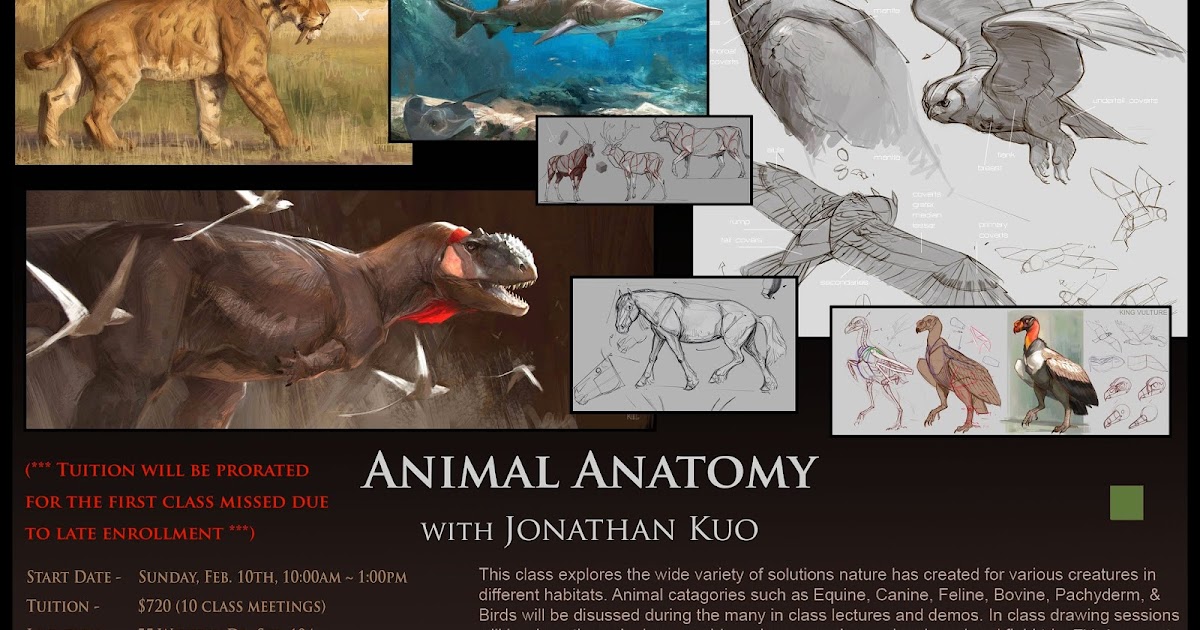 Concept Design Academy: Last Chance to Enroll for "Animal Anatomy" with ...