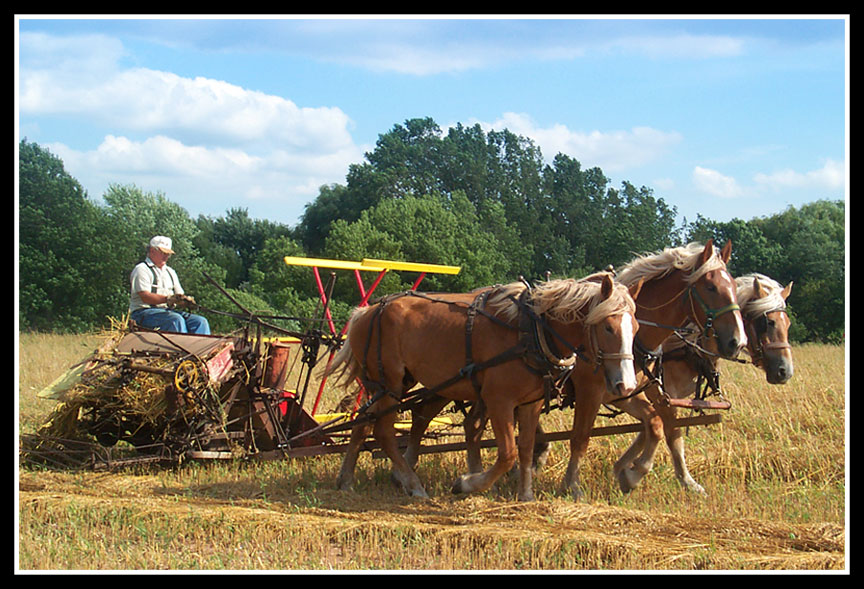 Enjoy The Journey: Random Photo -- Grain Reaper