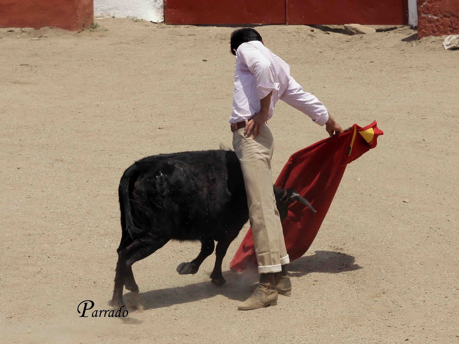 Los Caminos del Toro: Juan Ortega, de muleta en "Los Monasterios"
