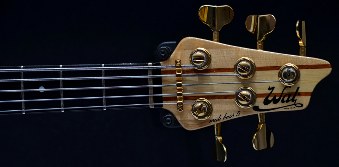 A HISTORY OF WAL BASSES: Gallery - Wal MB5 5-String Midi Bass